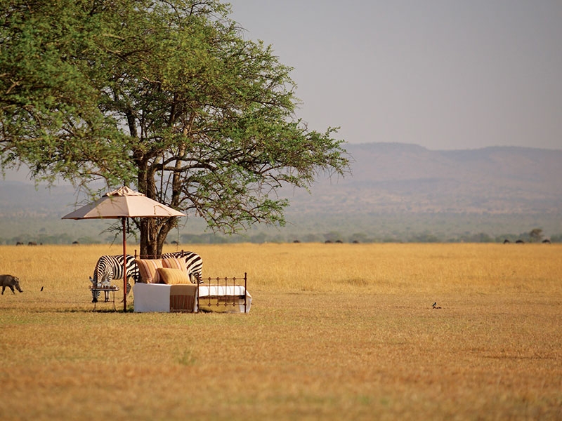 2017 Travel Forecast with Anthony Lassman - Dolce Luxury Magazine