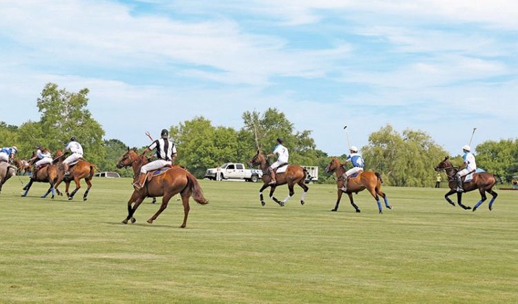 Polo Fever - Dolce Luxury Magazine
